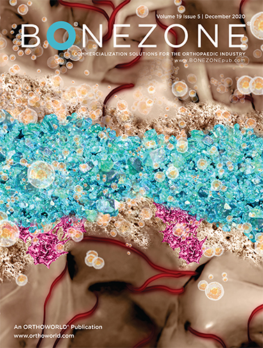 Magazine Vol 19 Num 5 - BONEZONE