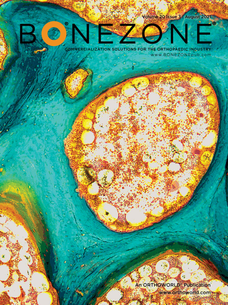 Magazine Vol 20 Num 3 - BONEZONE