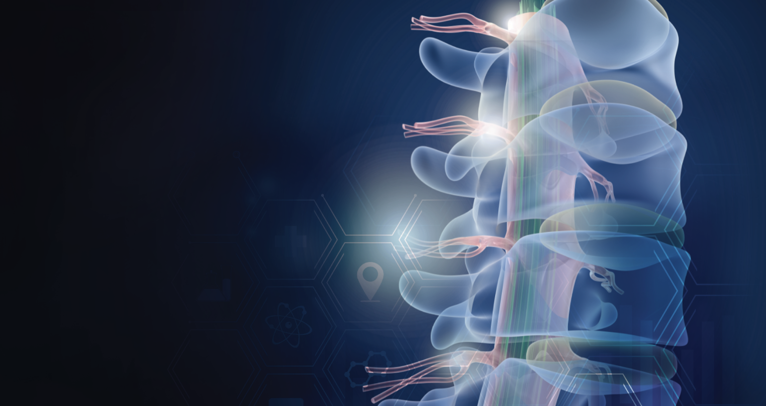 Spine Market 2023 Data And Insight Bonezone 